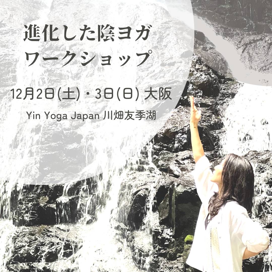 YIN YOGA JAPAN | 進化した陰ヨガ
