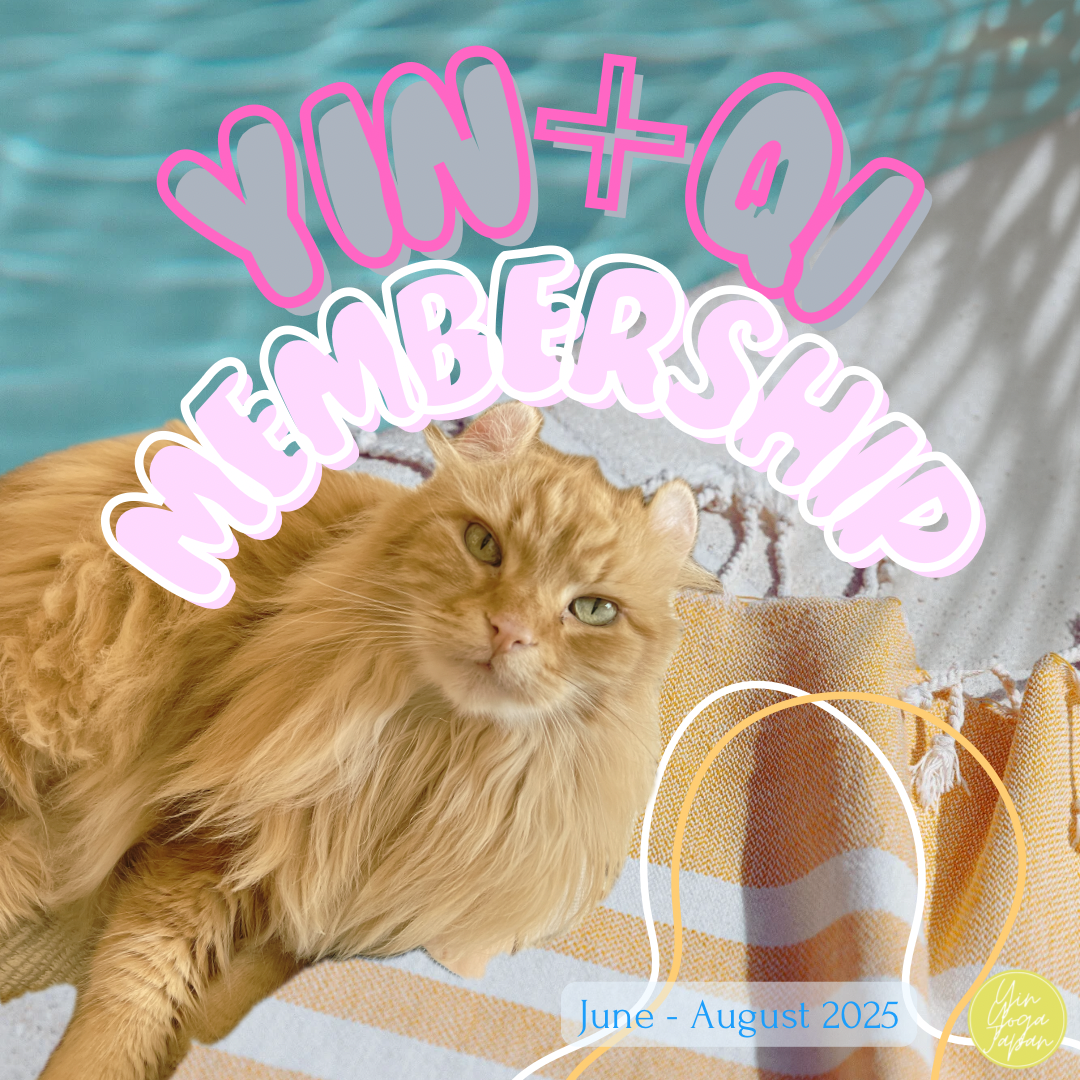 YIN YOGA JAPAN | 進化した陰ヨガ